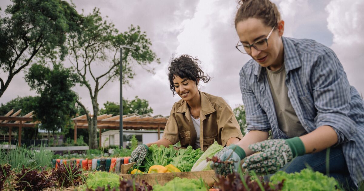 Local Community Services | Partnerships | Beyond Bank